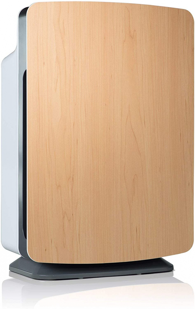 6 HEPA Air Purifiers You Can Utilize in Your Home, Daycare or Center ...