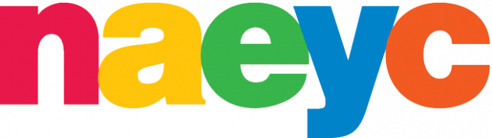 Interview with Rhian Allvin, CEO of the National Association for the ...