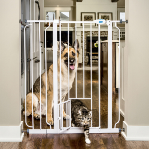 The 6 Best Baby Gates for Stairs and Homes