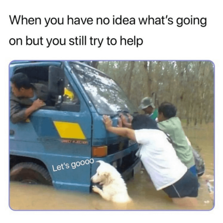 31 Funny Memes for Kids That Are Family Friendly