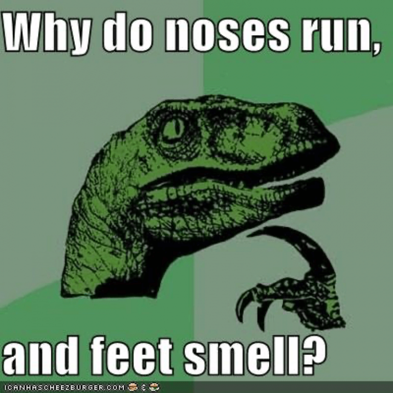 31 Funny Memes for Kids That Are Family Friendly