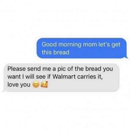 31 Funny Memes for Kids That Are Family Friendly