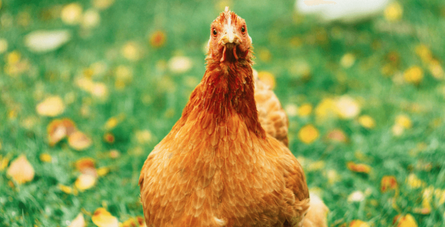 21 of the Best Short Stories for Kids That Have Great Morals