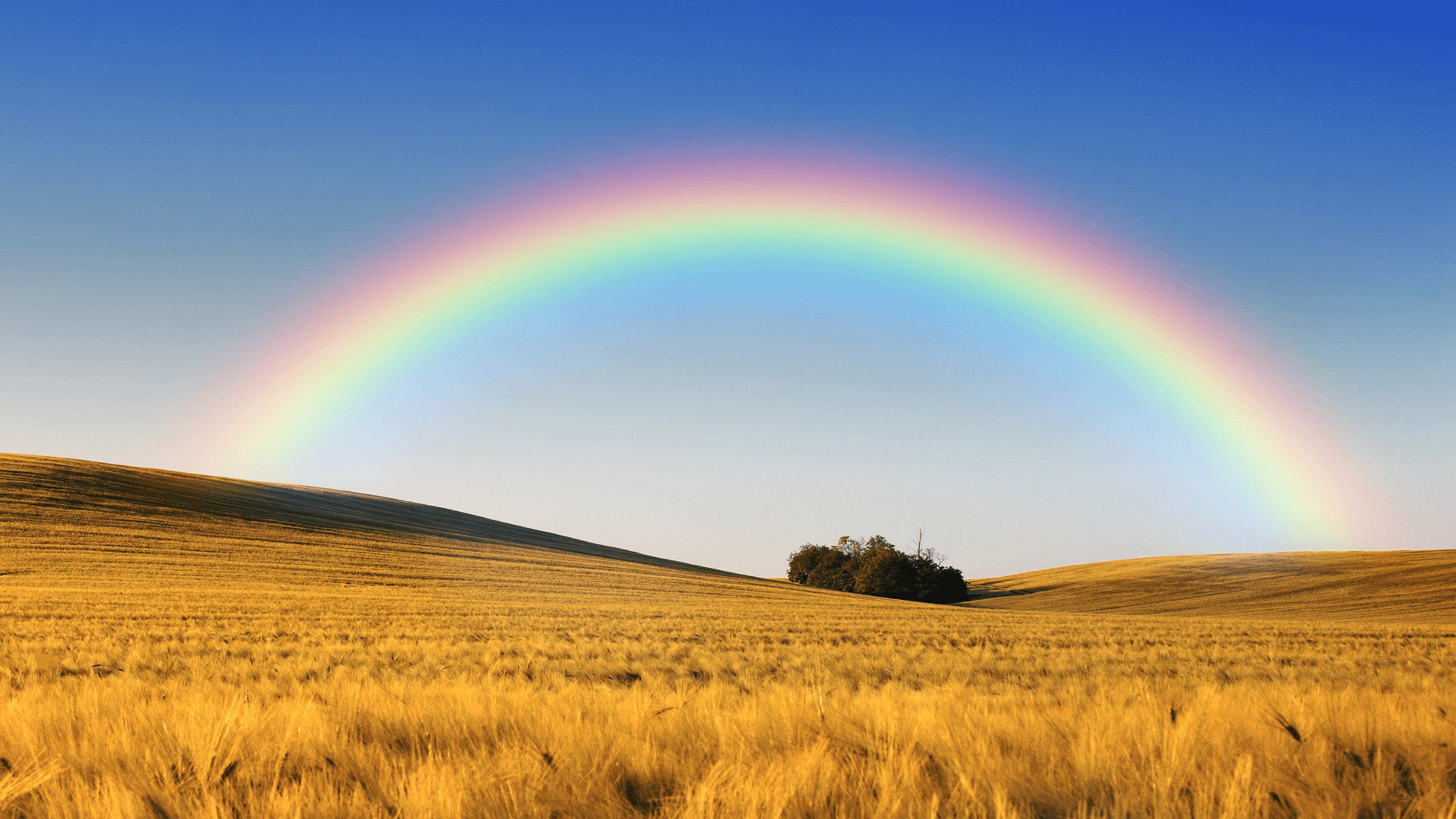 Celebrate St. Patrick’s Day with Inspirational Stories for Children